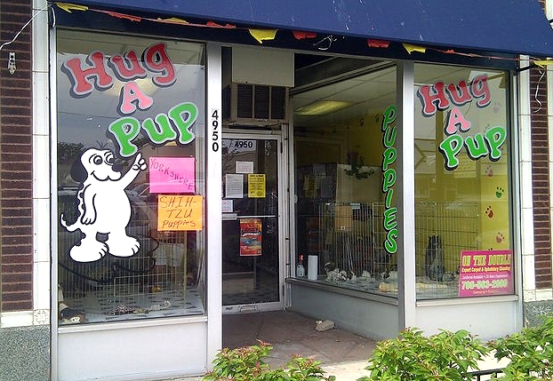 Hug A Pup - The Chicago Area Puppy Specialist