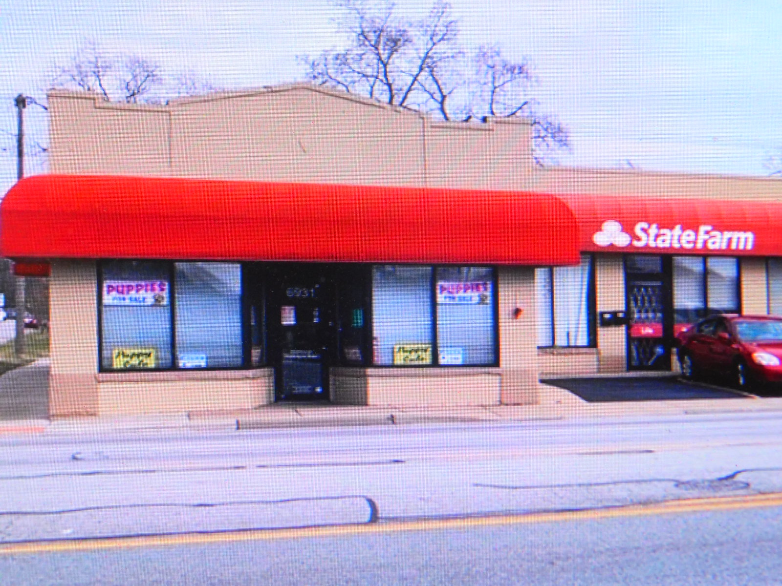 Hug A Pup - The Chicago Area Puppy Specialist